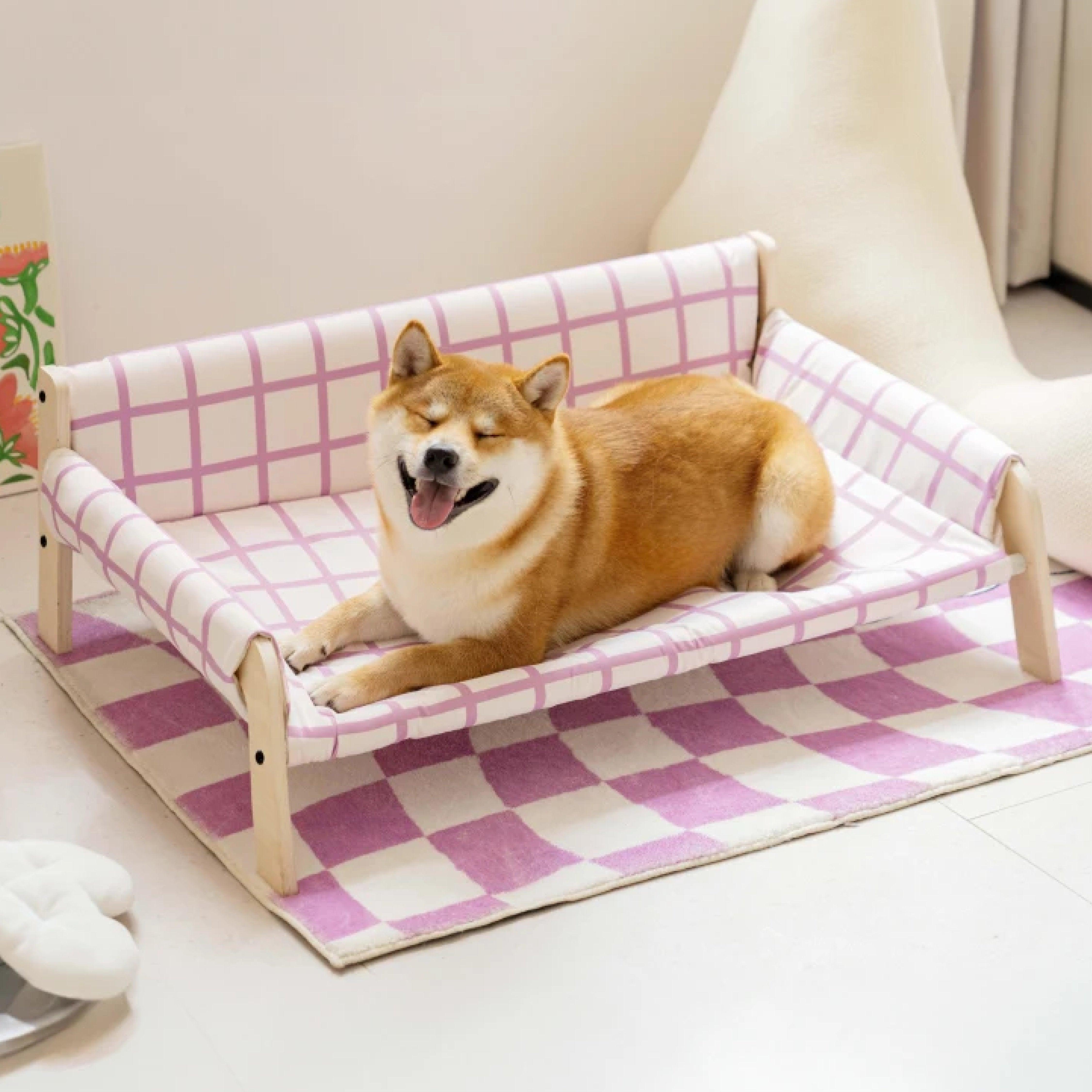 Buy Dog Supplies Online | Pet Friendly's PH