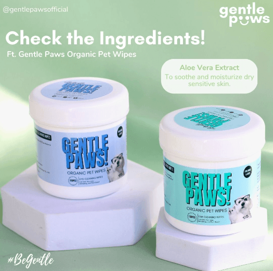Buy Gentle Paws Online | Pet Friendly's PH