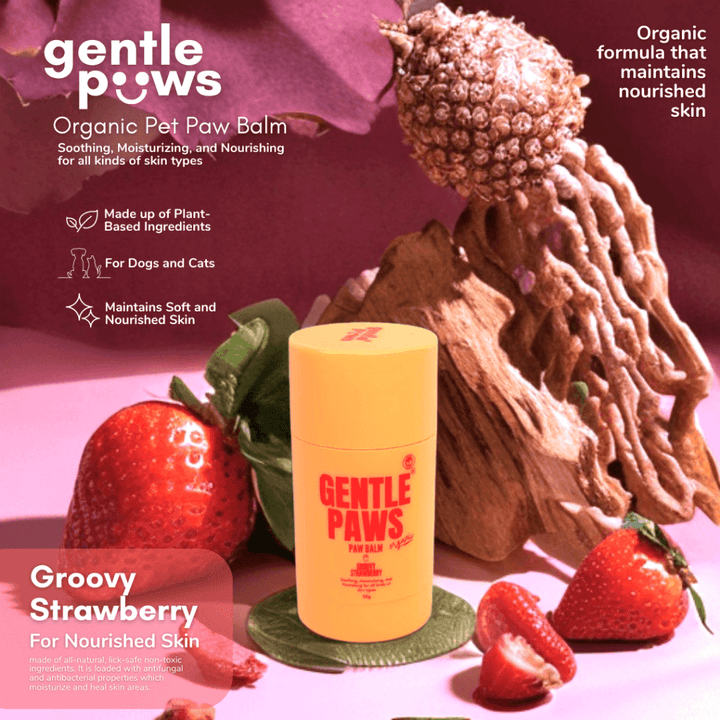 Pet Friendly's PH Best Online Pet Store