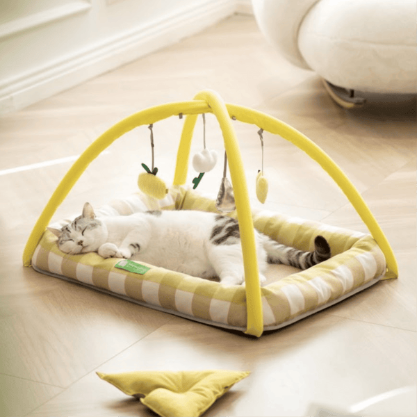 Buy Mewoo Online - Cooling Activity Cushion | Pet Friendly's PH