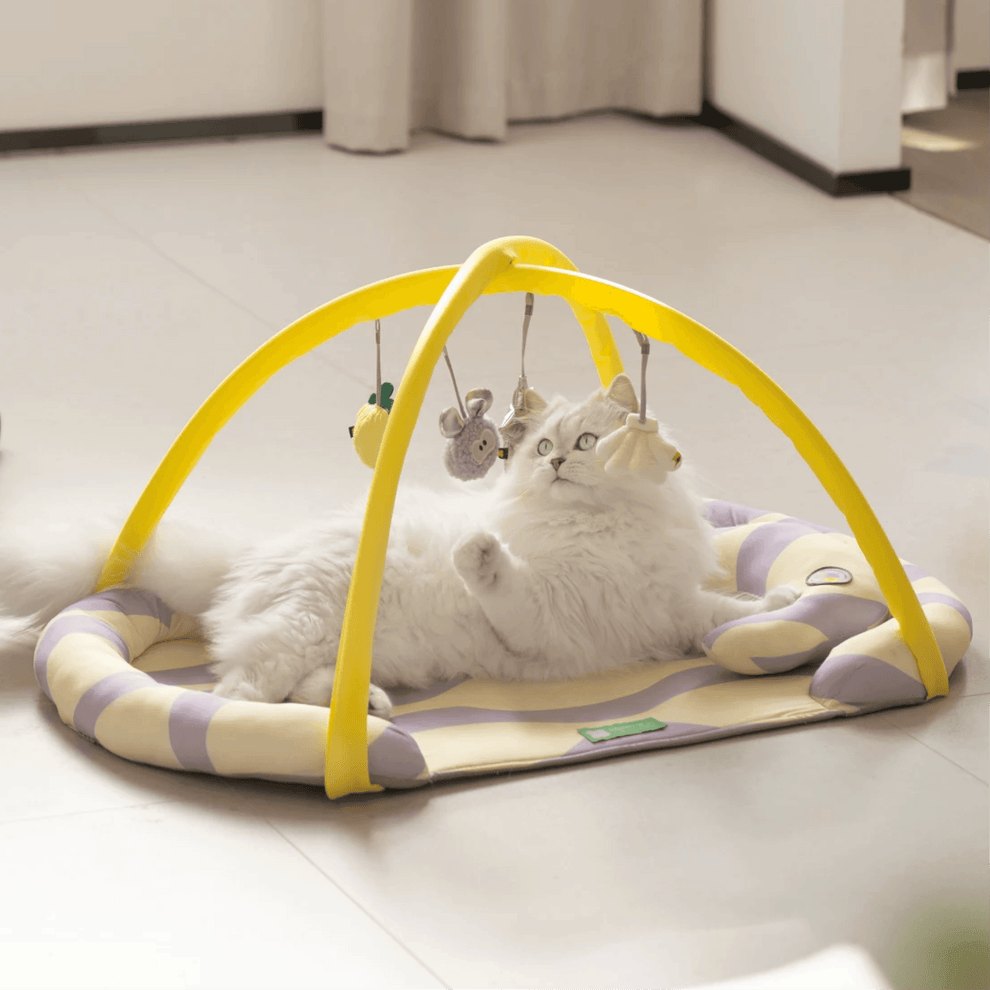 Buy Mewoo Online - Cooling Activity Mat | Pet Friendly's PH